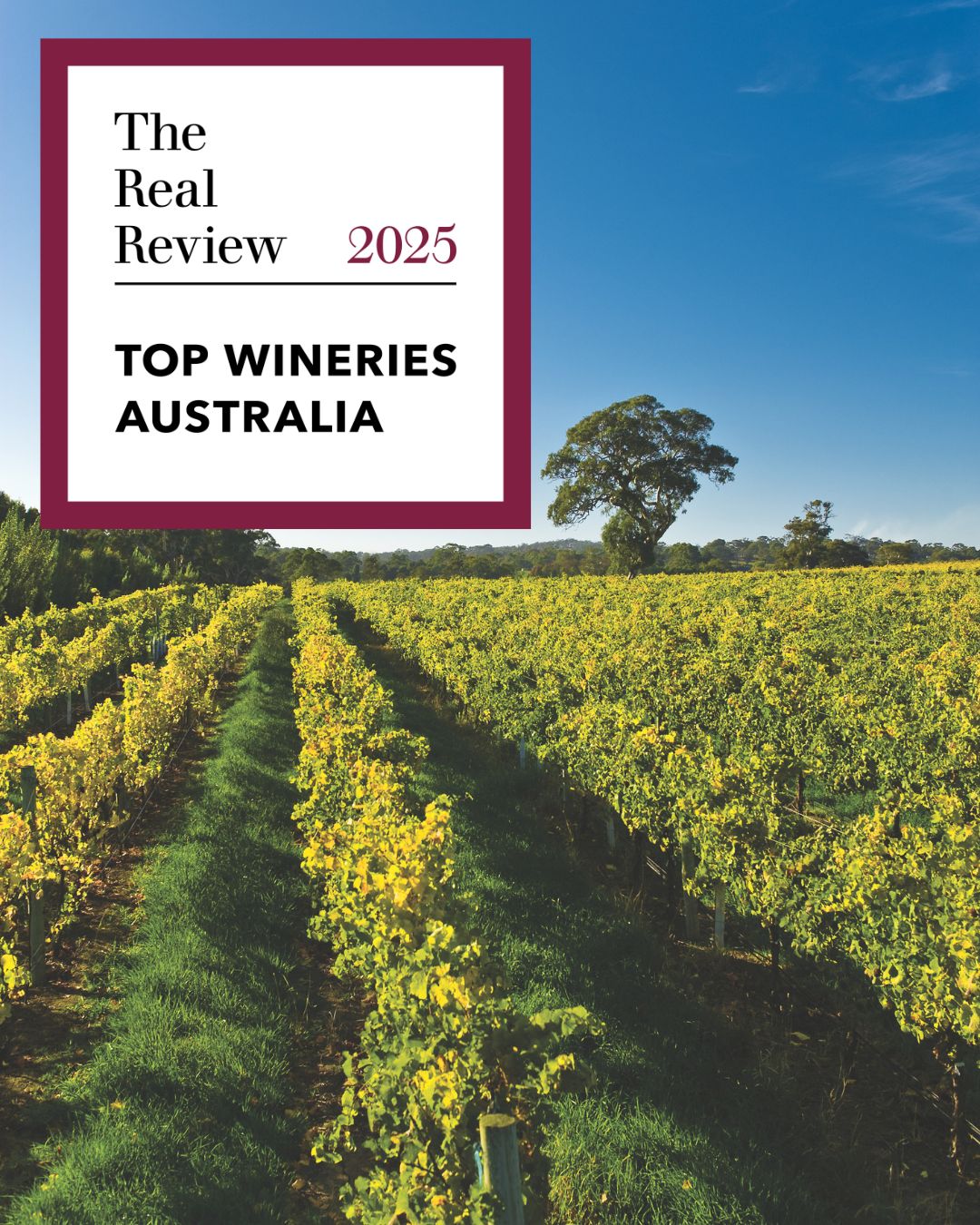 Sidewood Estate Recognised Among Australia’s Top Wineries for 2025